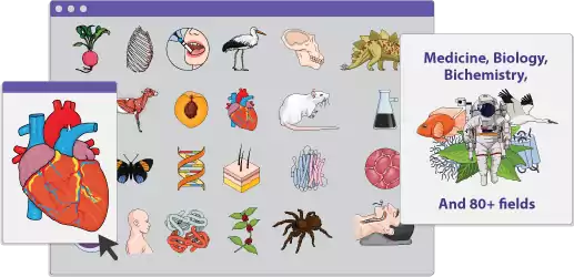 Best Free Infographic Maker for Science | Mind the Graph