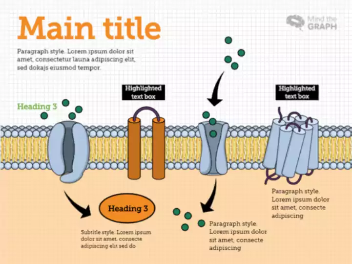 Best Free Infographic Maker for Science | Mind the Graph