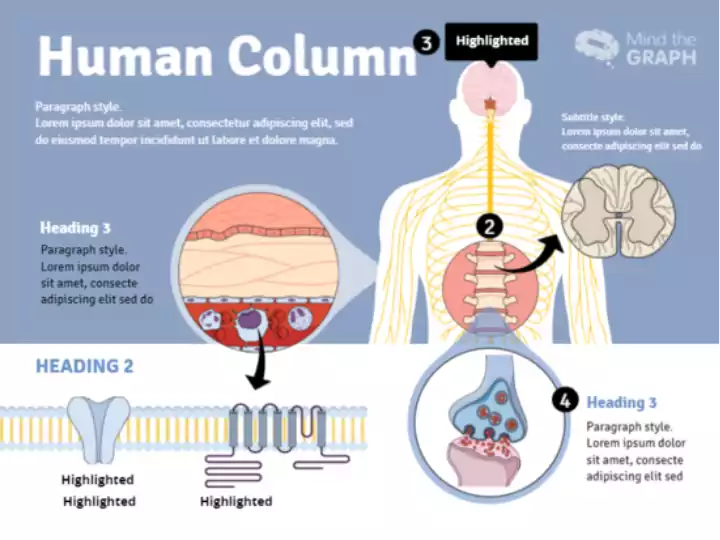 Best Free Infographic Maker for Science | Mind the Graph