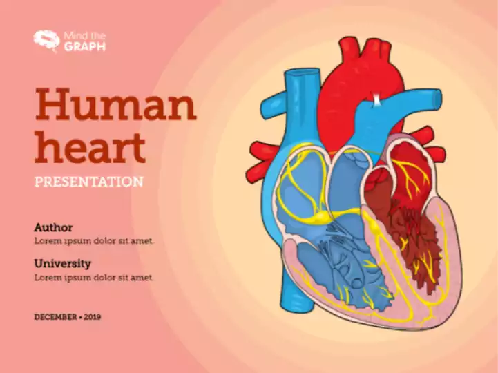 Best Free Infographic Maker for Science | Mind the Graph