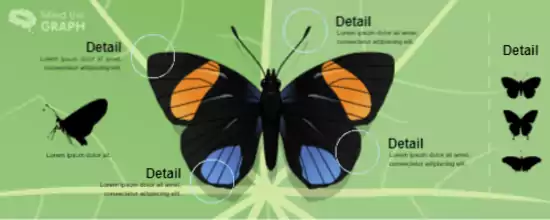 Best Free Infographic Maker for Science | Mind the Graph